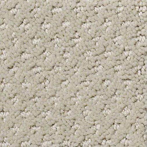 Shaw Floors Genesis Cold Water 12x6 ft. Premium Nylon Carpet Remnant